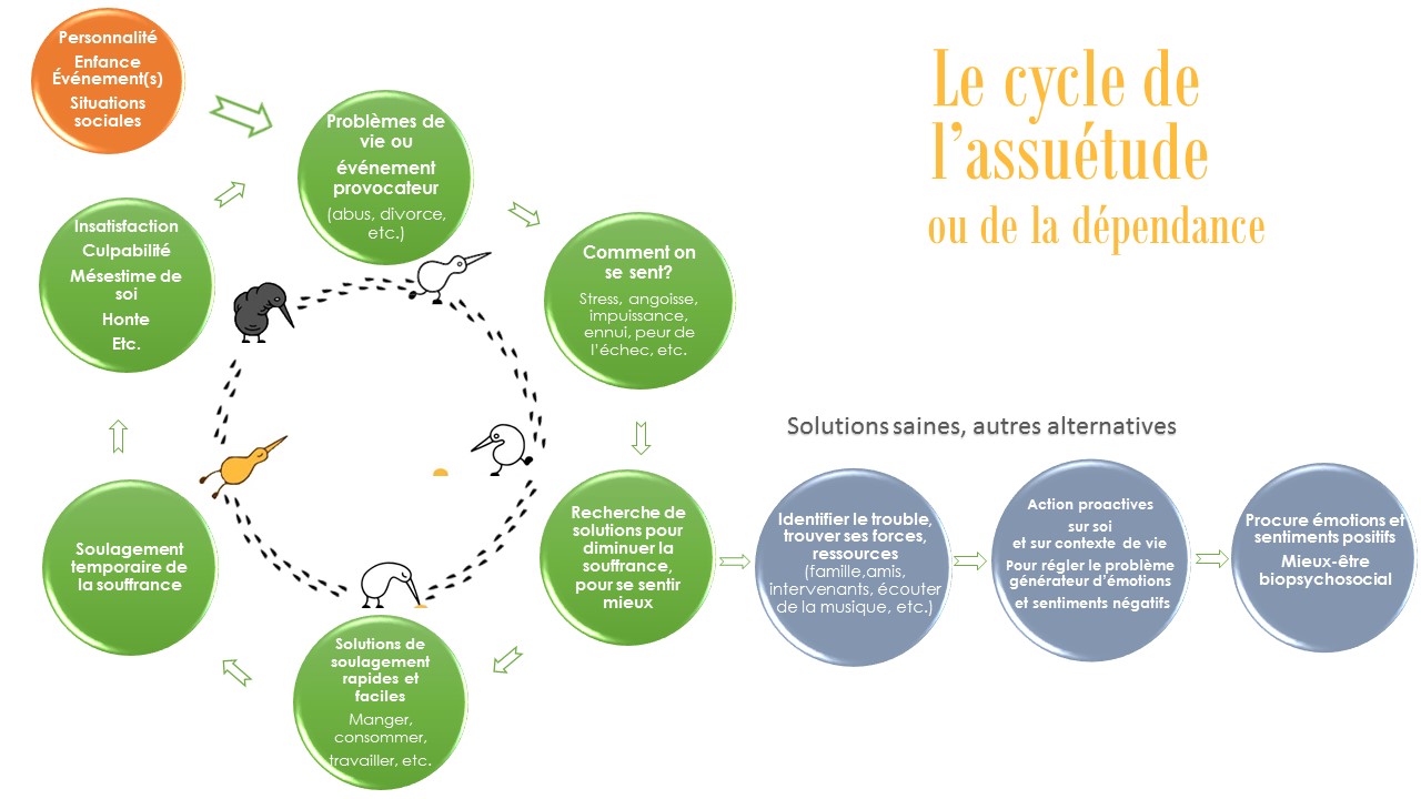 Le cycle de l’assuétude - La relance Nicolet-Bécancour